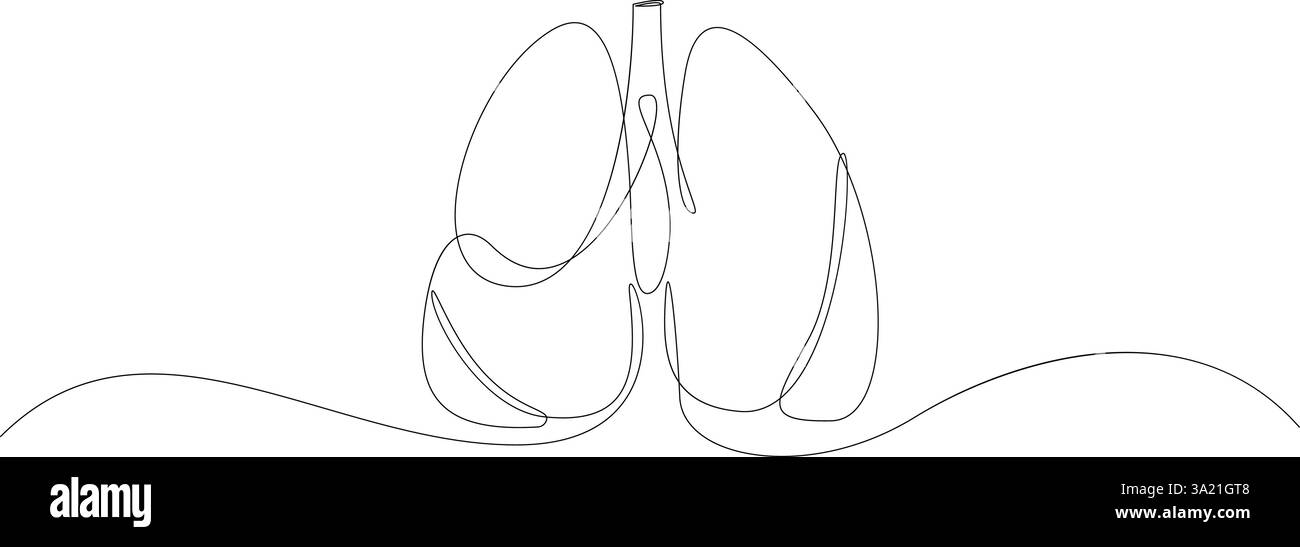 Single continuous line drawing of human lungs. One line human ...
