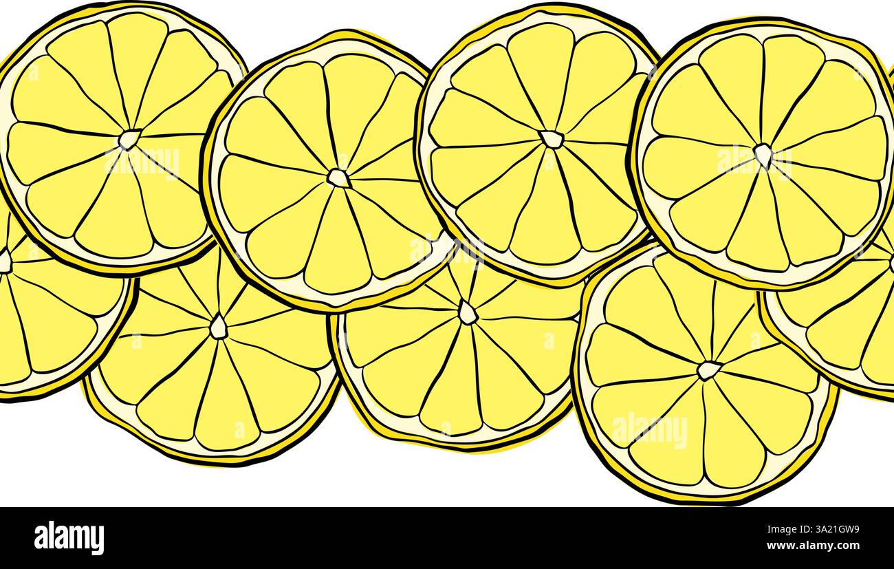 Lemon slices Vector design with graphic line ink hand drawn horizontal ...