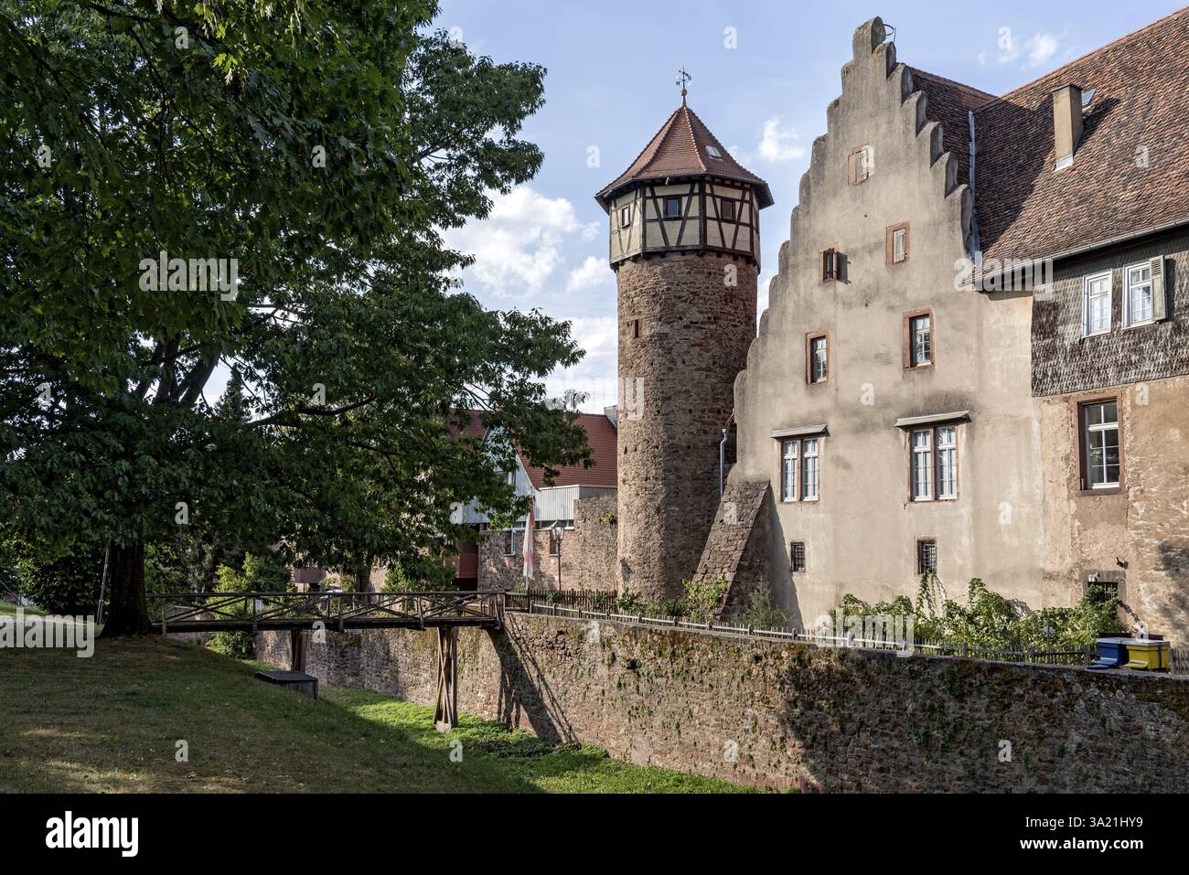 Town castle, winery with ramparts, town moat, moat, thieves' tower as ...