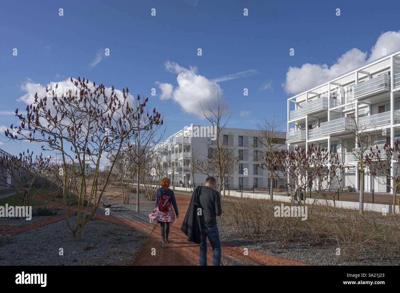 Modern residential buildings in the new Hubland residential area, built ...