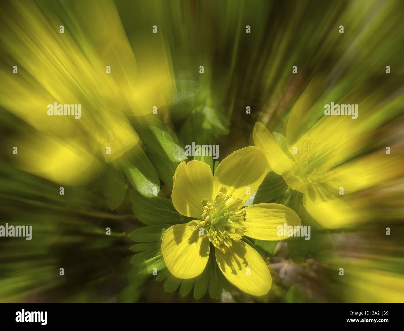 Knoble effect hi-res stock photography and images - Alamy