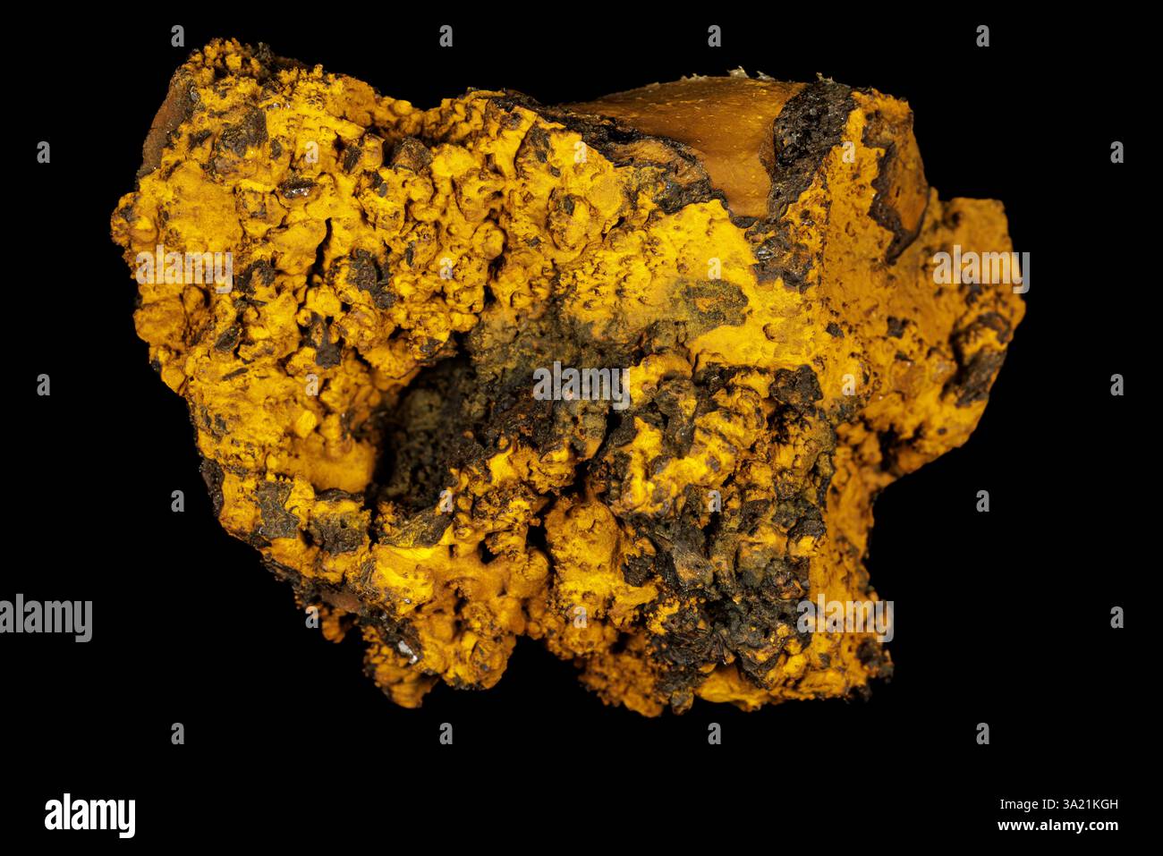 Limonite mineral specimen with rough, porous texture and deep yellow ...