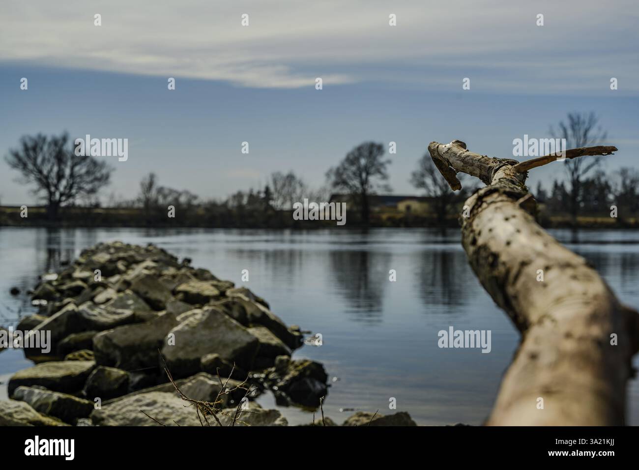 Long tree trunk and stones by a river with calm water. Clear ...