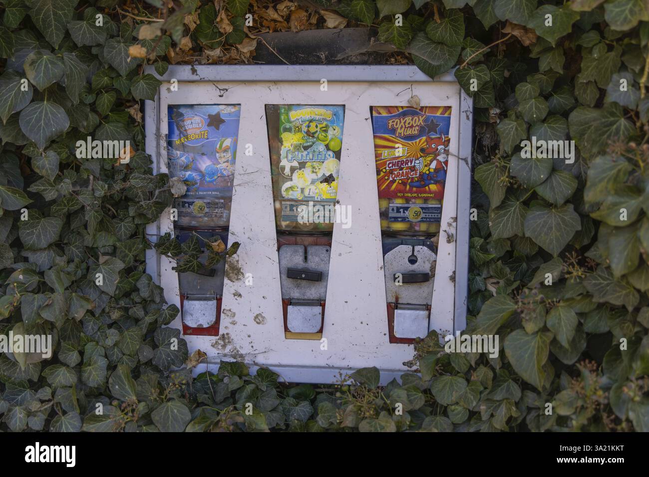 Lost Places, Vending machines, Coins, Toys, Ivy, Hidden Stock Photo - Alamy