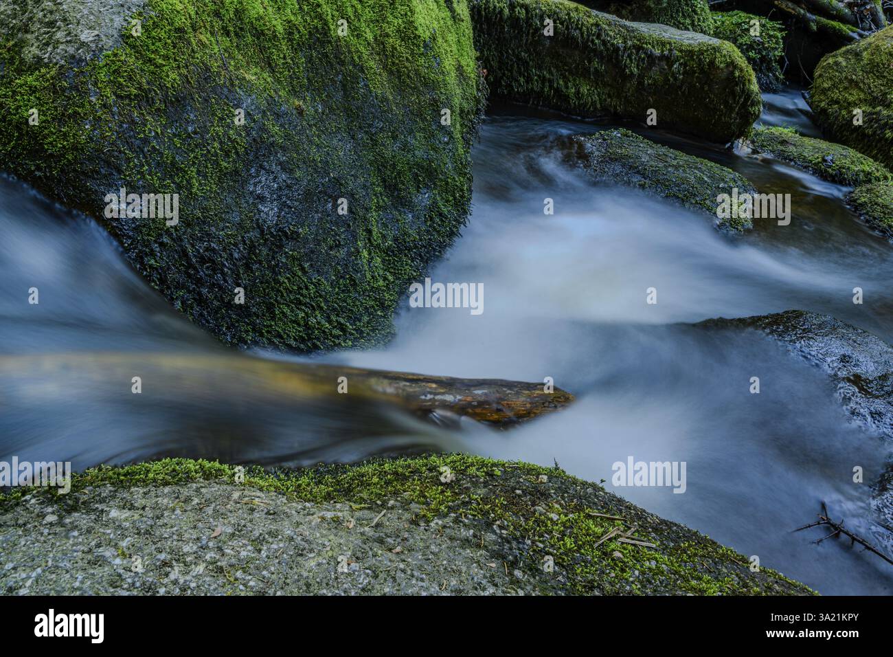 Moss-covered rocks surround a stream with a gentle waterfall and ...