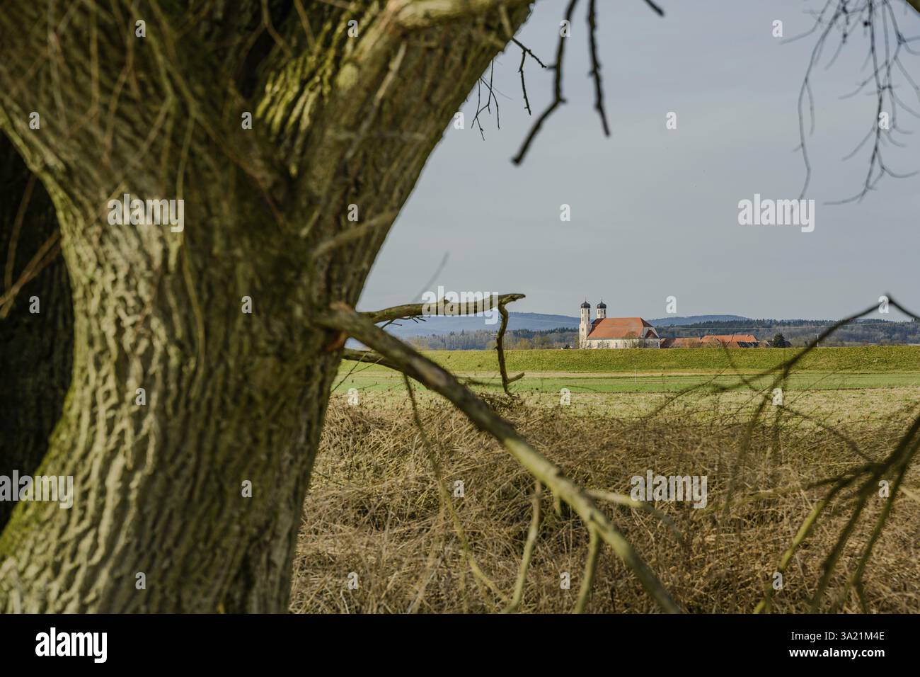 View through tree to church and fields under blue sky, Danube, Bogen ...