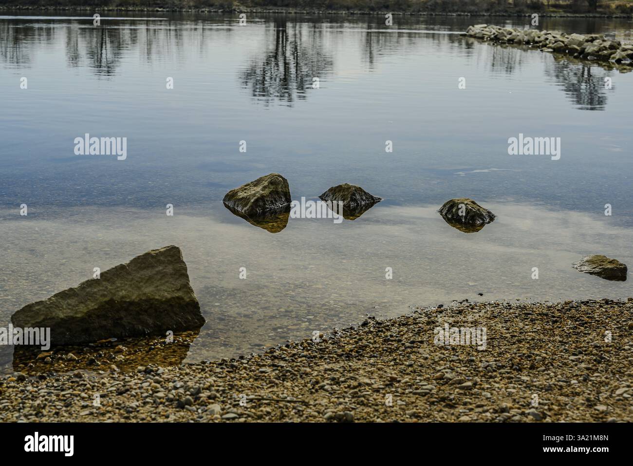 Gravelly river bank with several stones in the calm water. Trees are ...