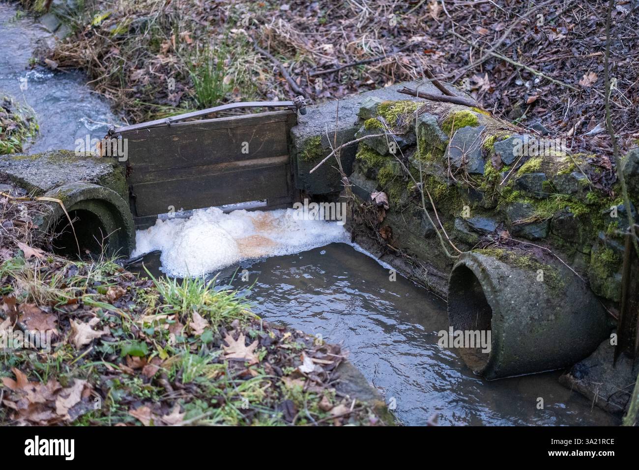 Small water gate with foamy stream in early spring Stock Photo - Alamy