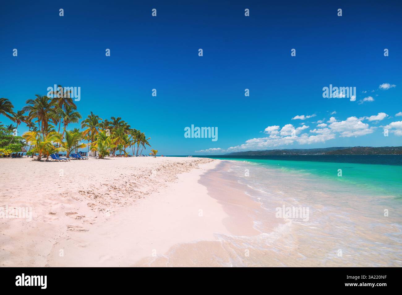 Tropical beach Caribbean Sea and Exotic Palm trees on Bacardi Island ...