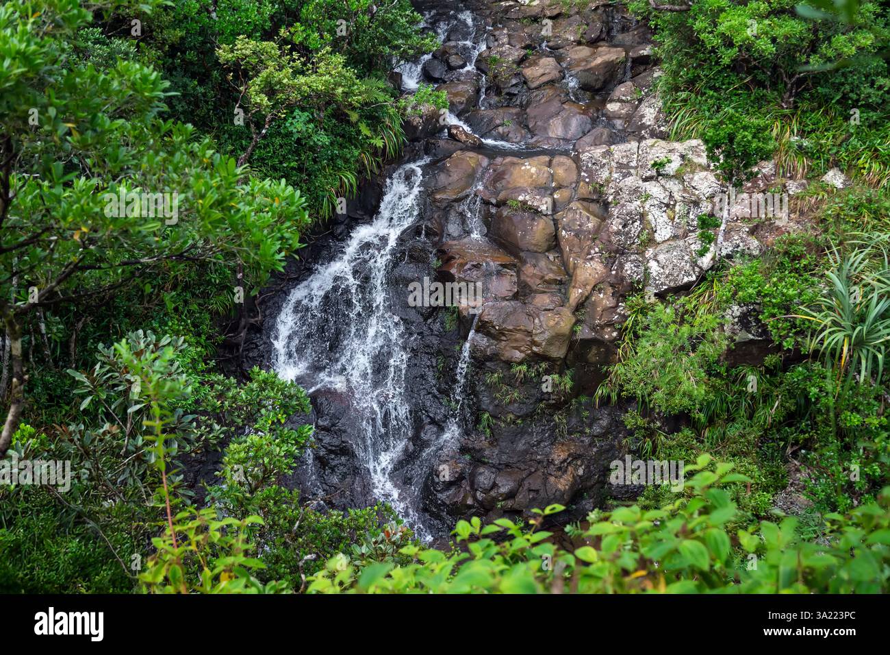 Hidden waterfall cascading through lush green forest. Tropical pristine waterfall streaming down ...