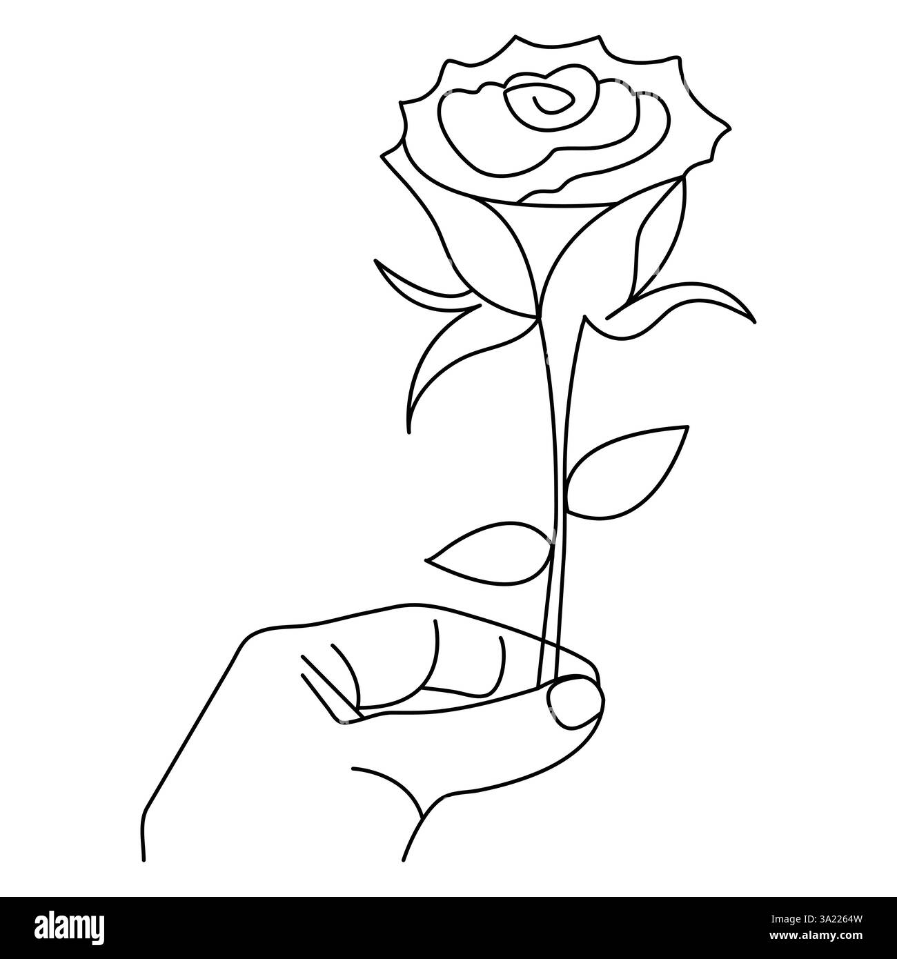 Continuous single line art drawing vector illustration of style rose ...