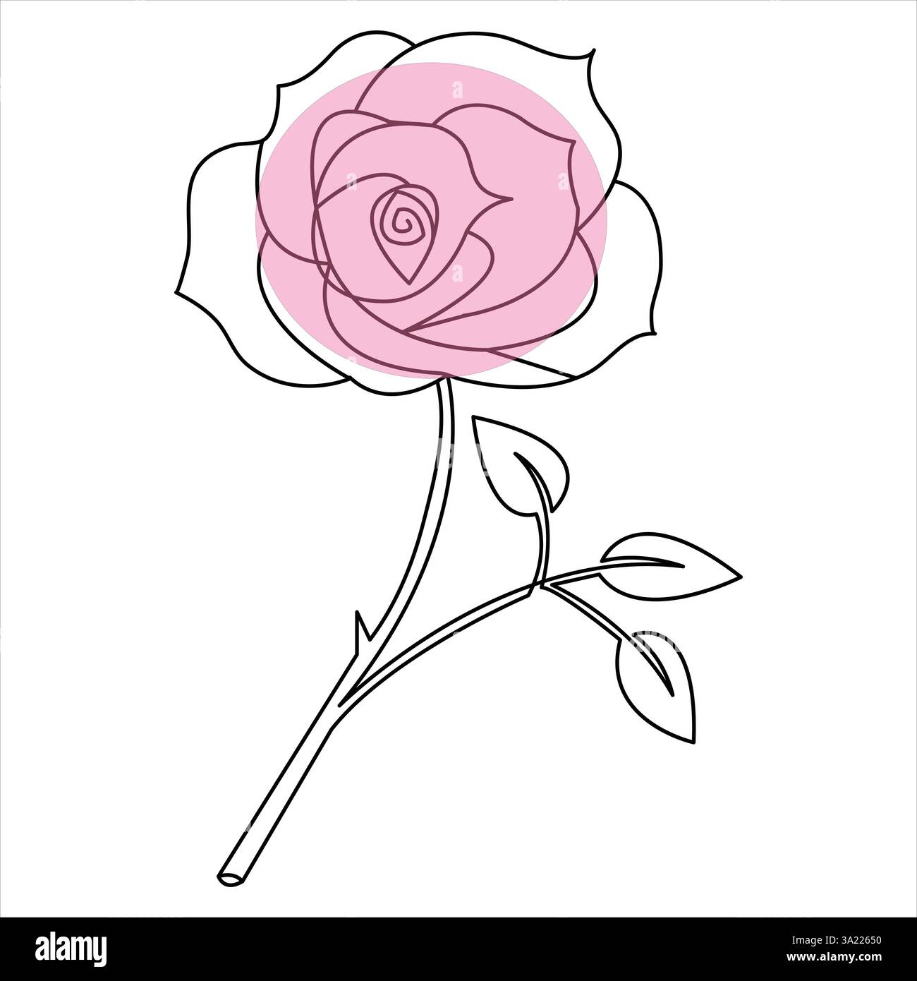 Continuous single line art drawing vector illustration of style rose ...