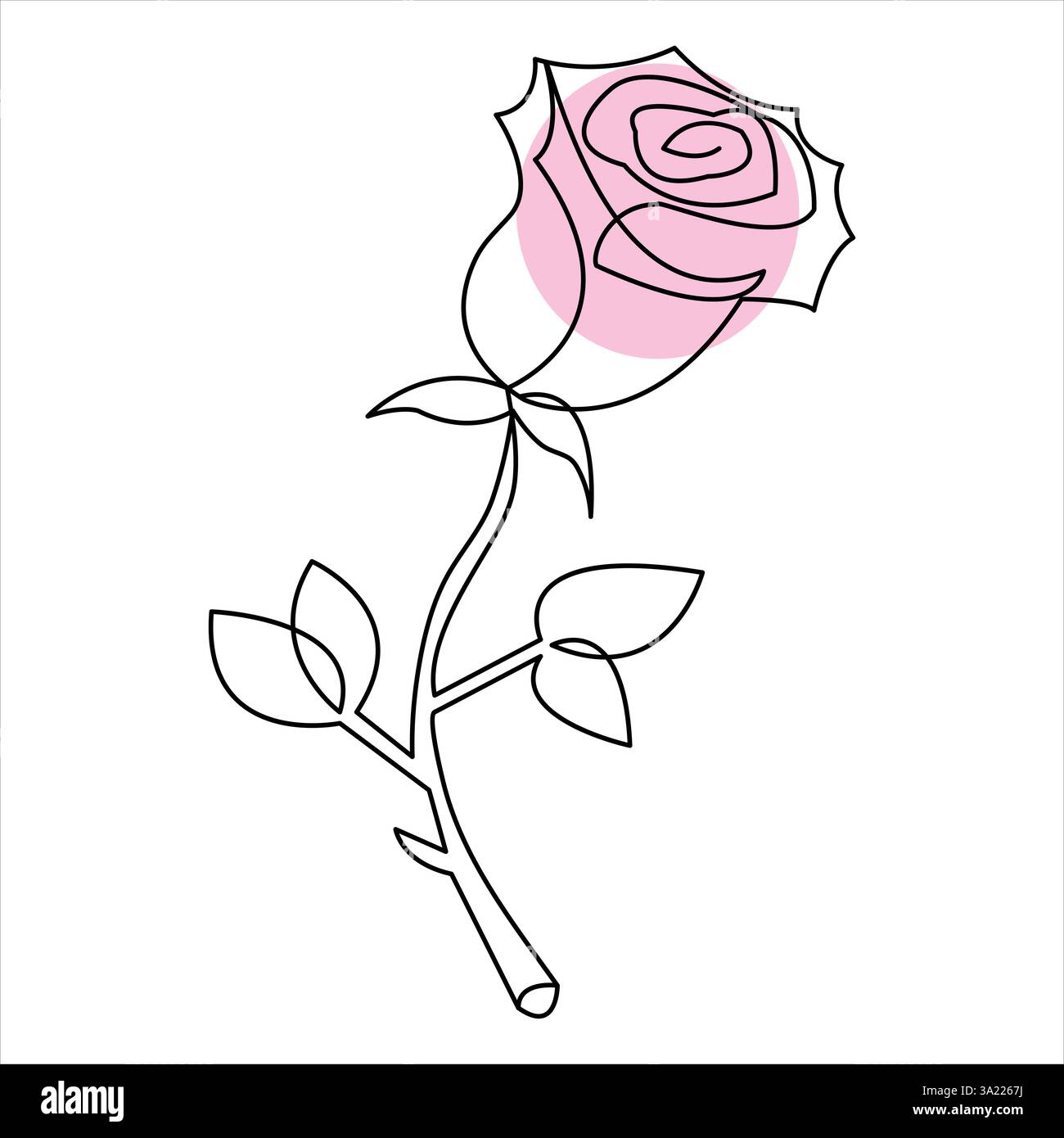 Continuous single line art drawing vector illustration of style rose ...