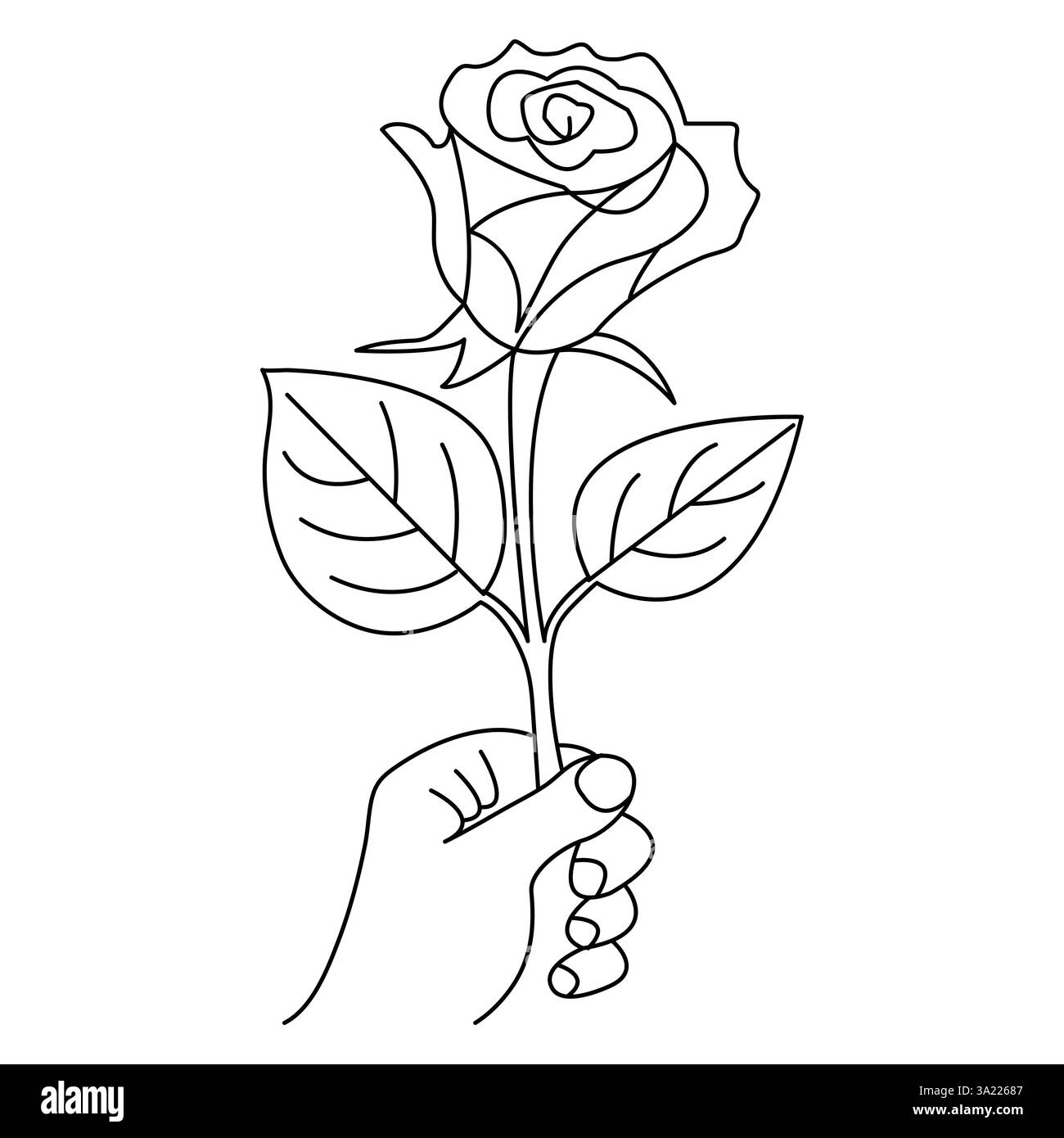 Continuous single line art drawing vector illustration of style rose Flower Stock Vector Image ...