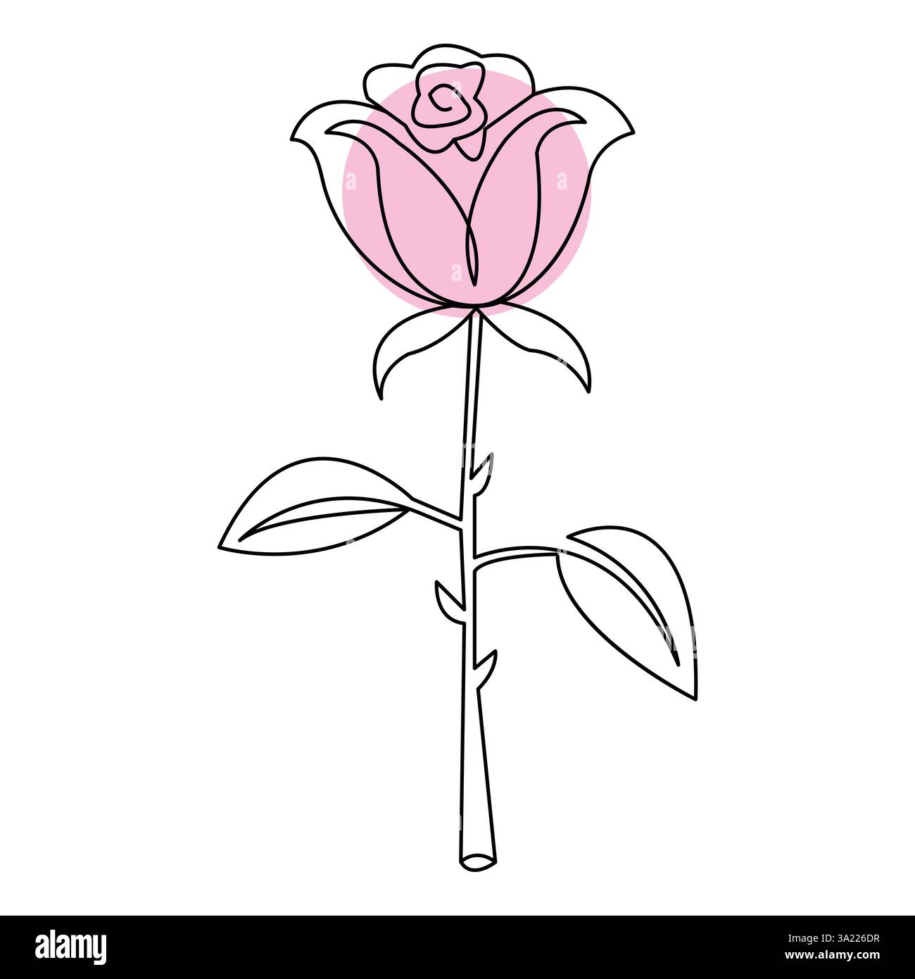 Continuous single line art drawing vector illustration of style rose ...
