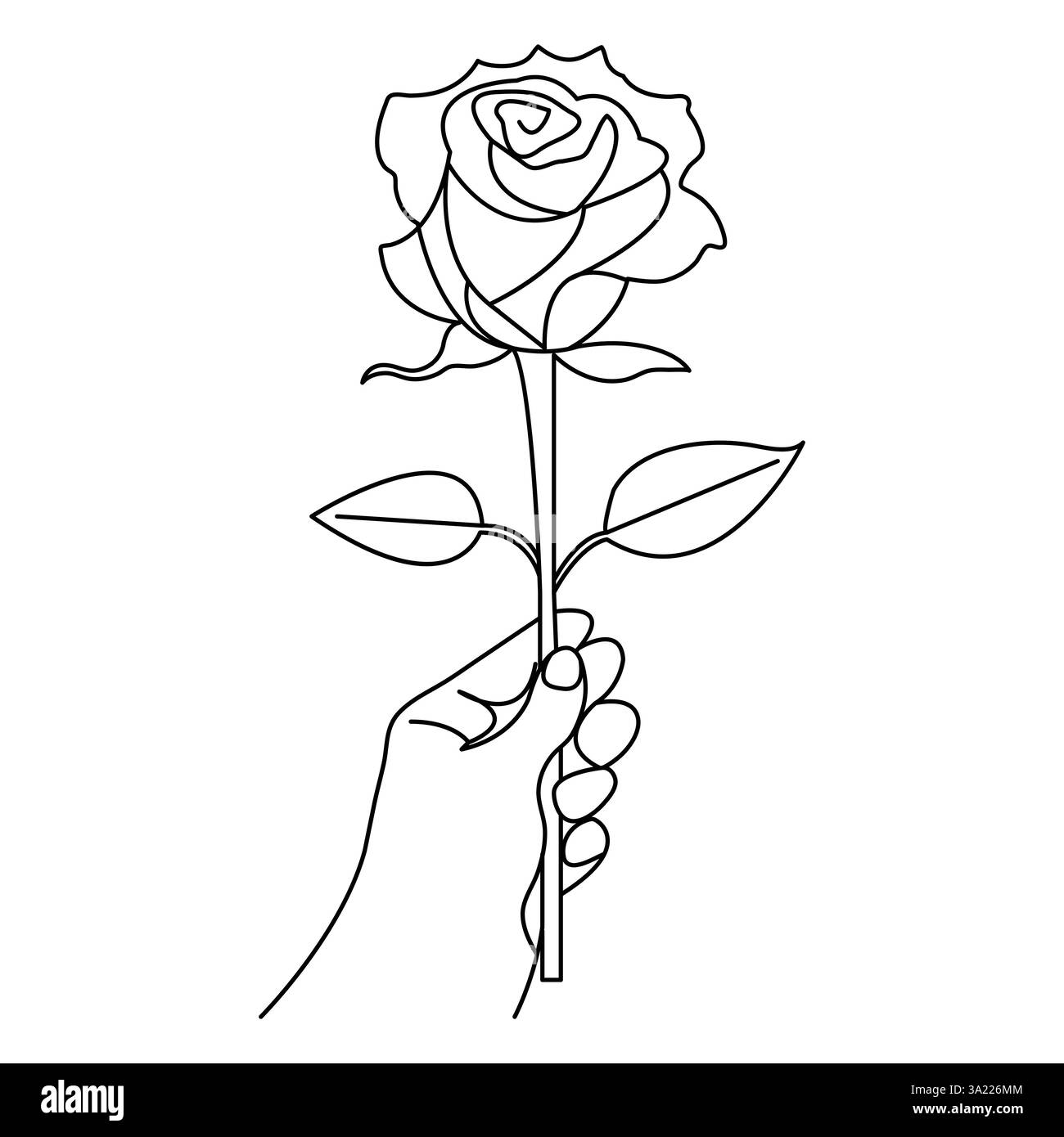 Continuous single line art drawing vector illustration of style rose ...