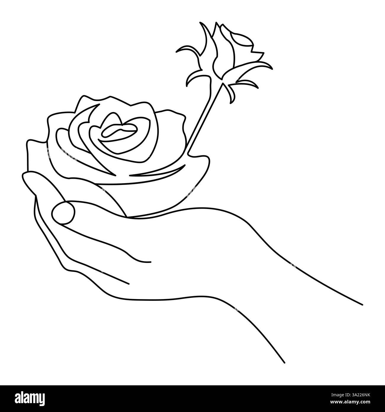 Continuous single line art drawing vector illustration of style rose ...