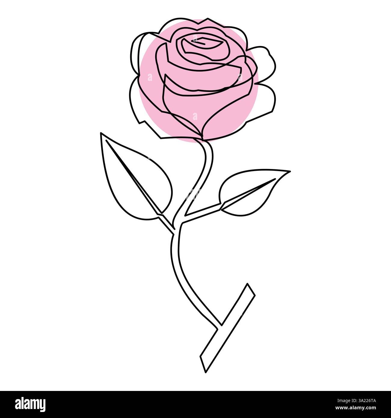 Continuous single line art drawing vector illustration of style rose ...