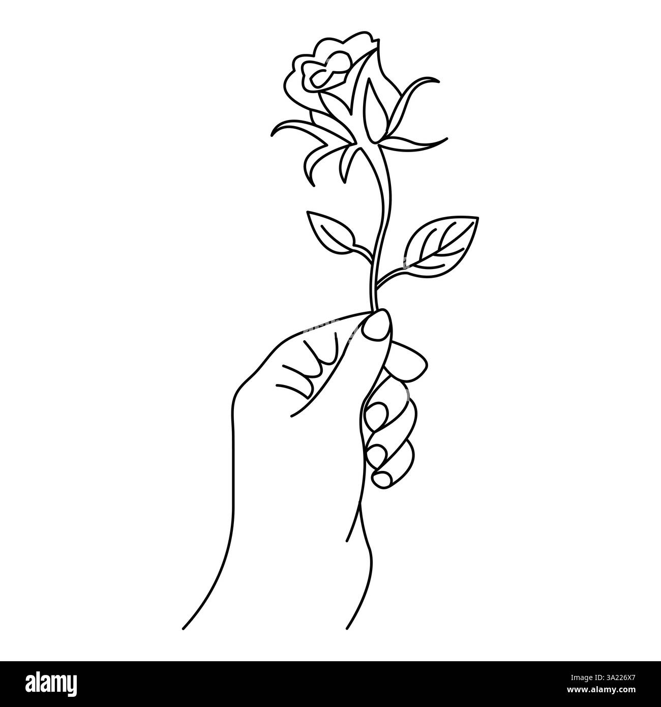 Continuous single line art drawing vector illustration of style rose ...