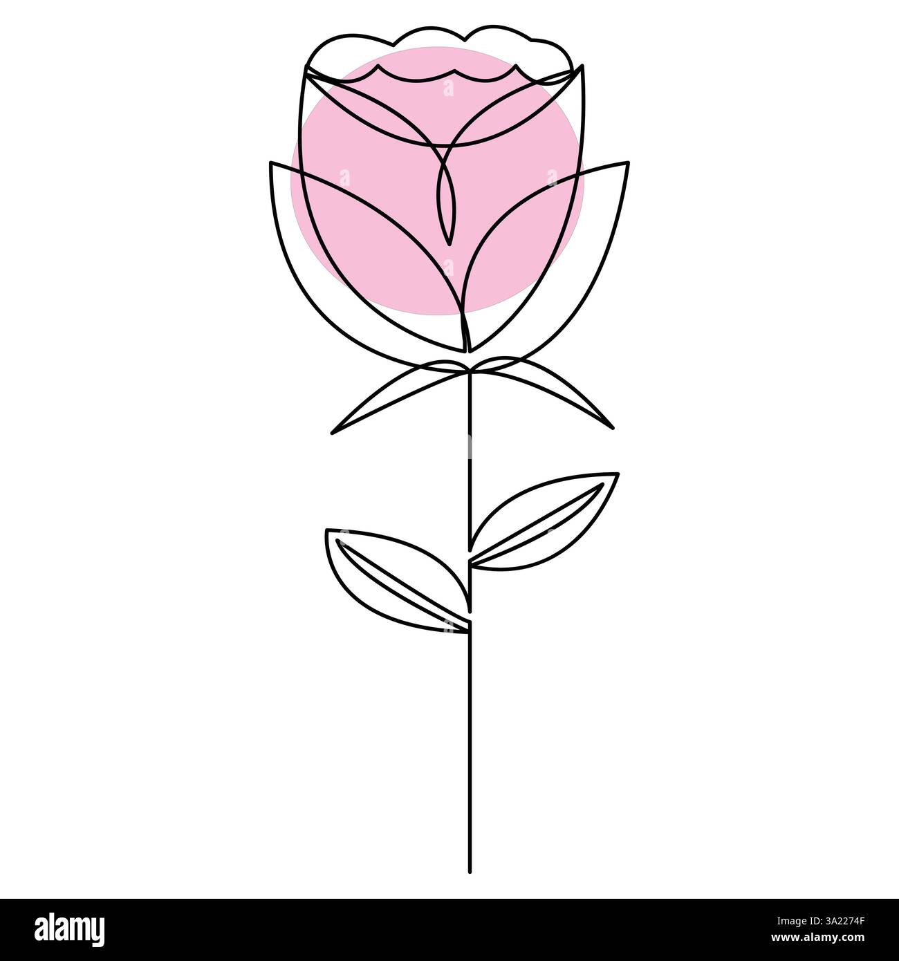 Continuous single line art drawing vector illustration of style rose ...