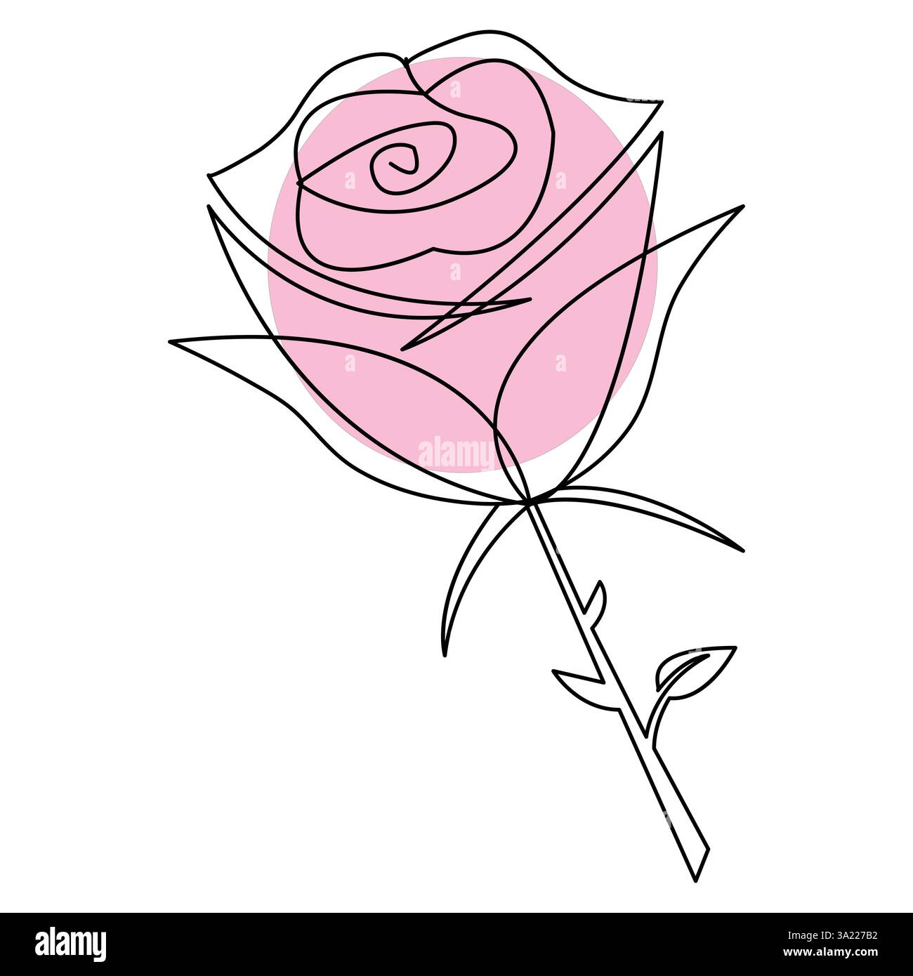 Continuous single line art drawing vector illustration of style rose ...