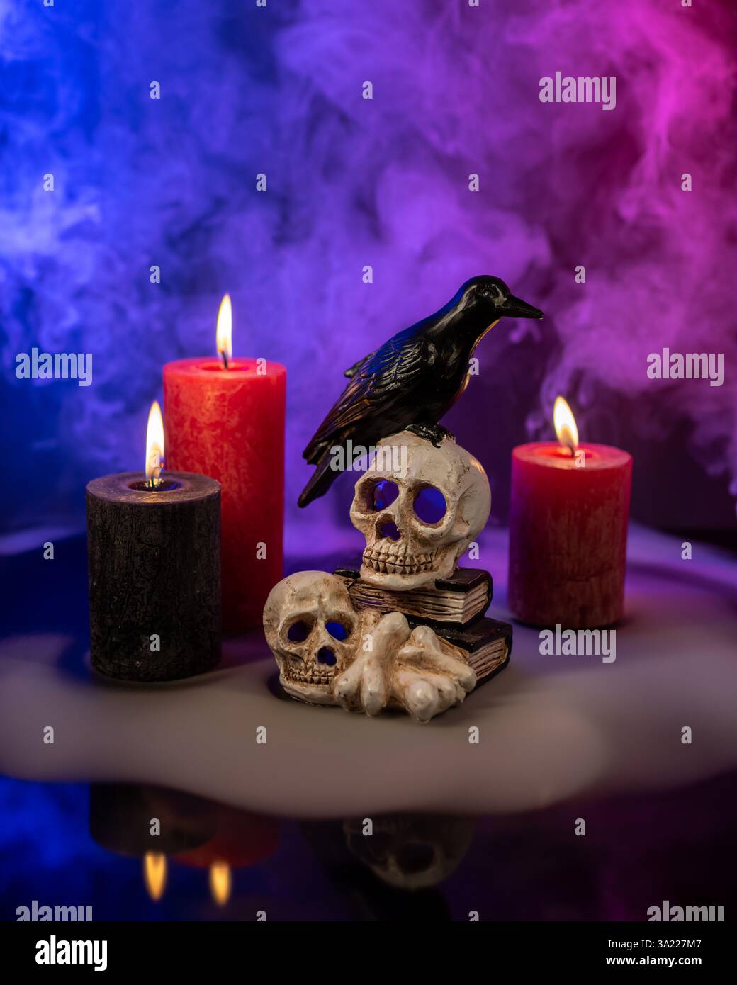 Halloween skull crow hi-res stock photography and images - Alamy