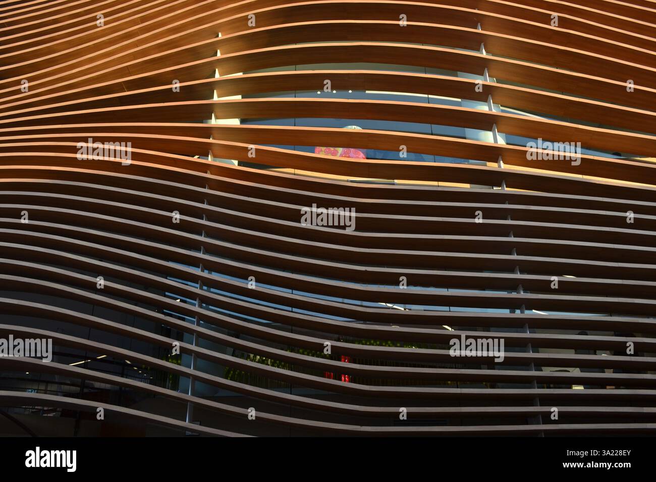 Curved long brown wooden insulation boards is curious facade decor of the Azerbaijan pavilion of ...