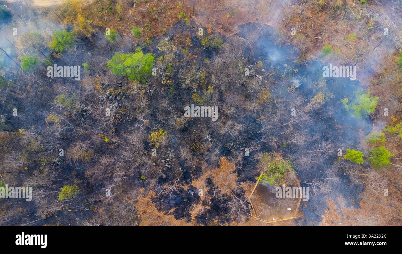 Aerial view of forest fires and smoke in the forests of Thailand ...