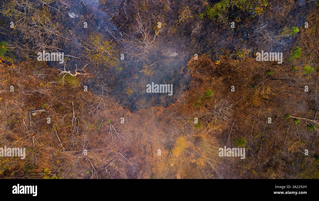 Aerial view of forest fires and smoke in the forests of Thailand ...