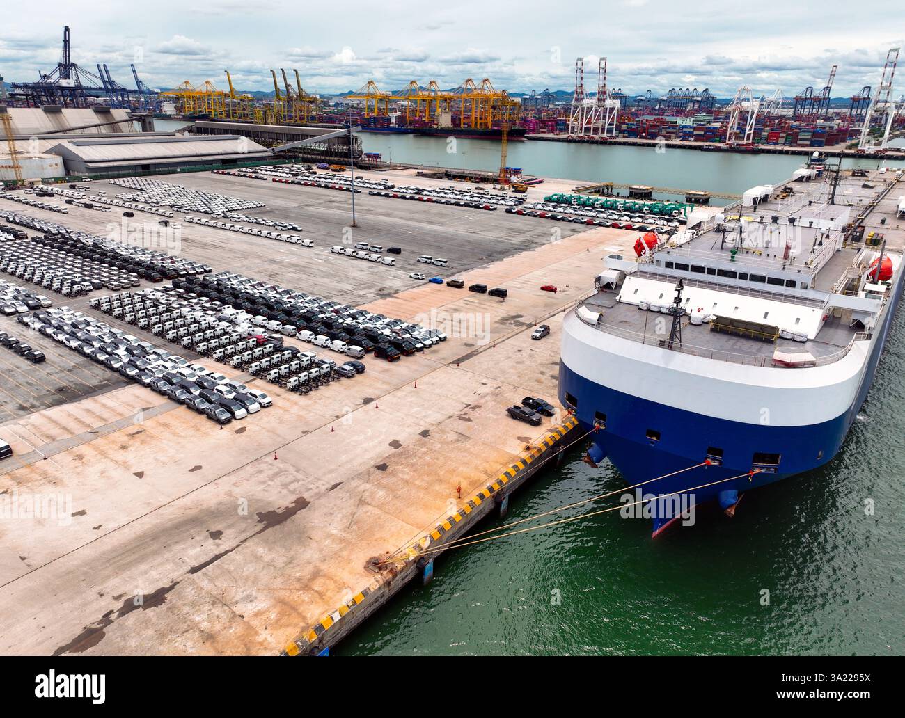 Logistics and transportation of new cars at terminal port for export ...