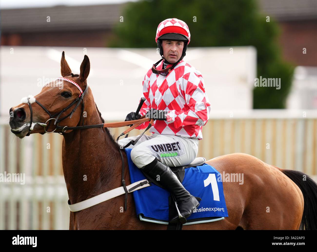 Jango Baie ridden by Nico de Boinville after winning the My Pension ...