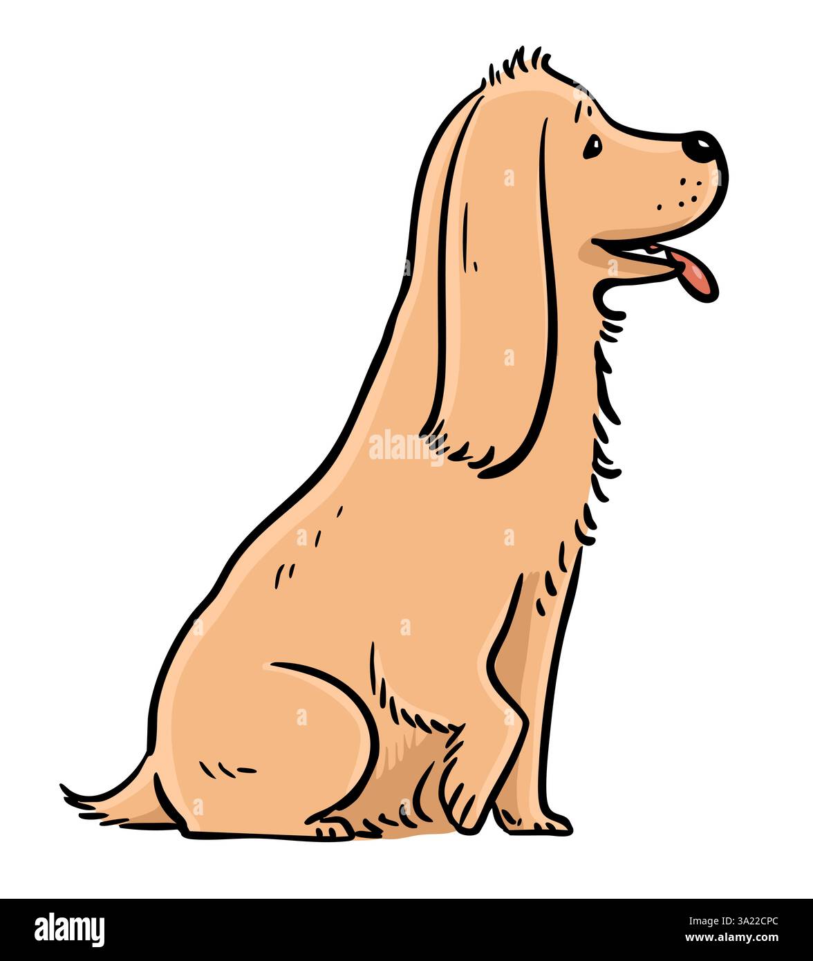 Illustration of a cute cocker spaniel Stock Vector Image & Art - Alamy