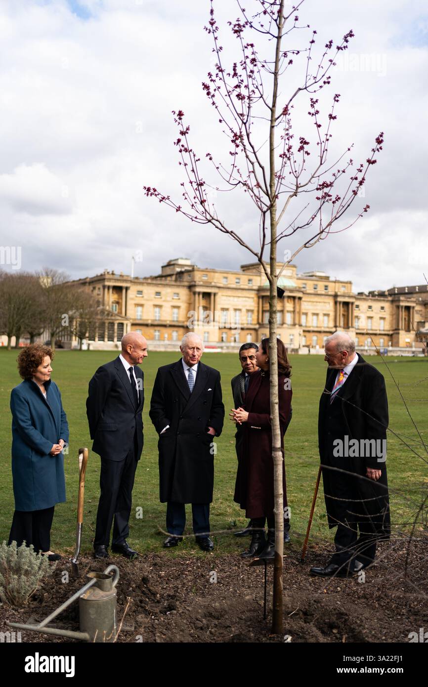 King Charles III with members of the Royal Commonwealth Society after planting an Acer Rubrum ...