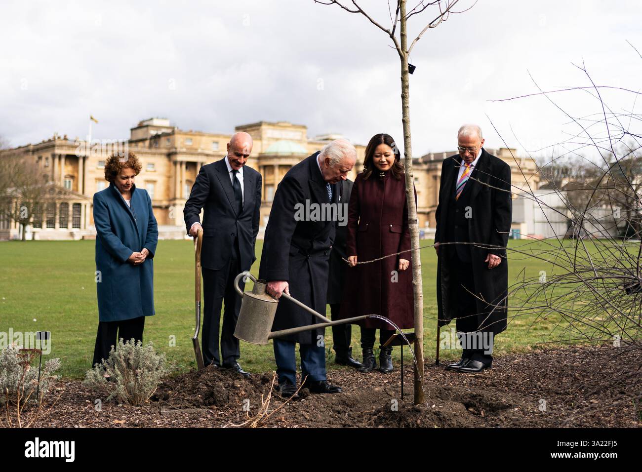 King Charles III with members of the Royal Commonwealth Society waters an Acer Rubrum, 'October ...