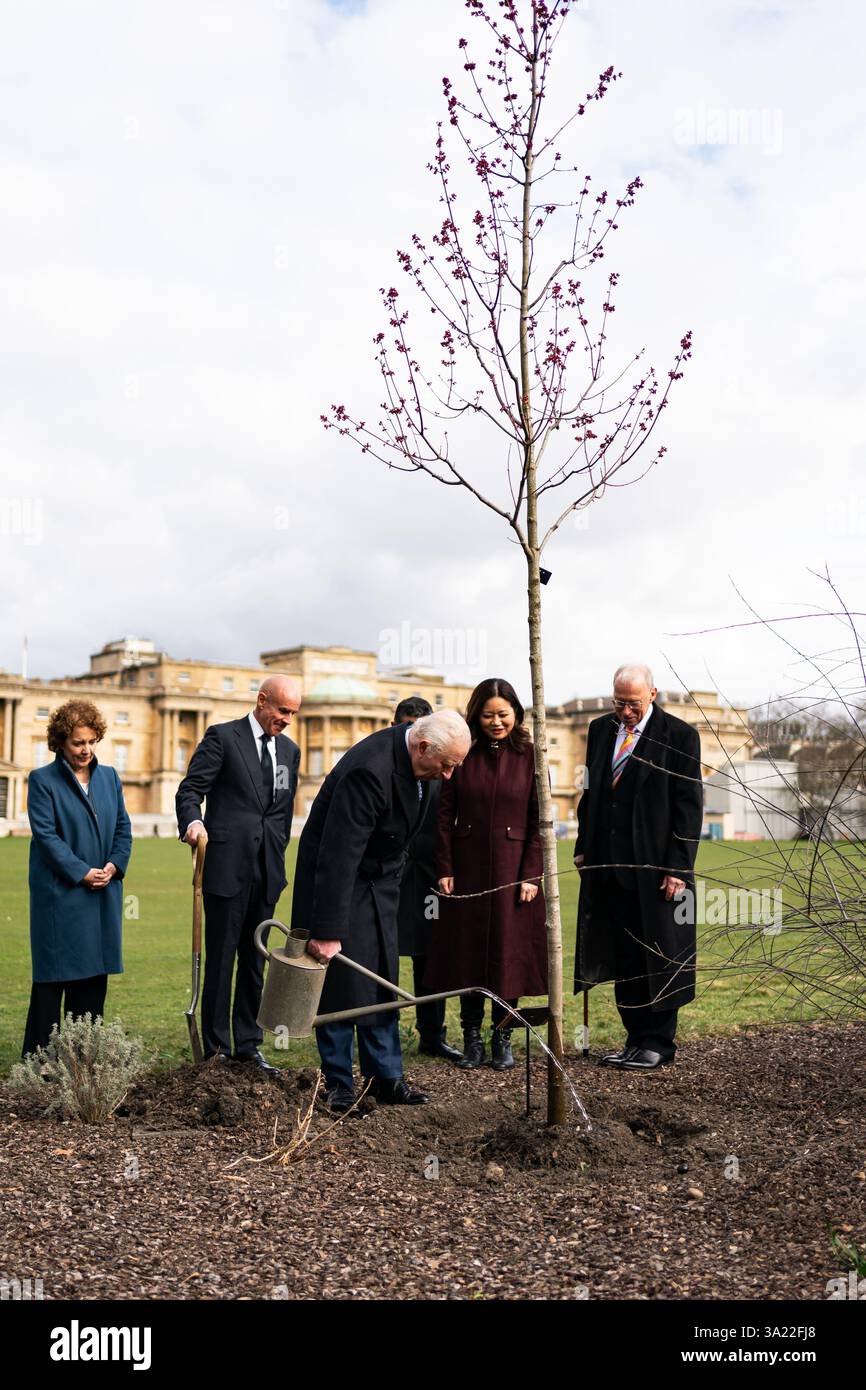 King Charles III with members of the Royal Commonwealth Society waters an Acer Rubrum, 'October ...