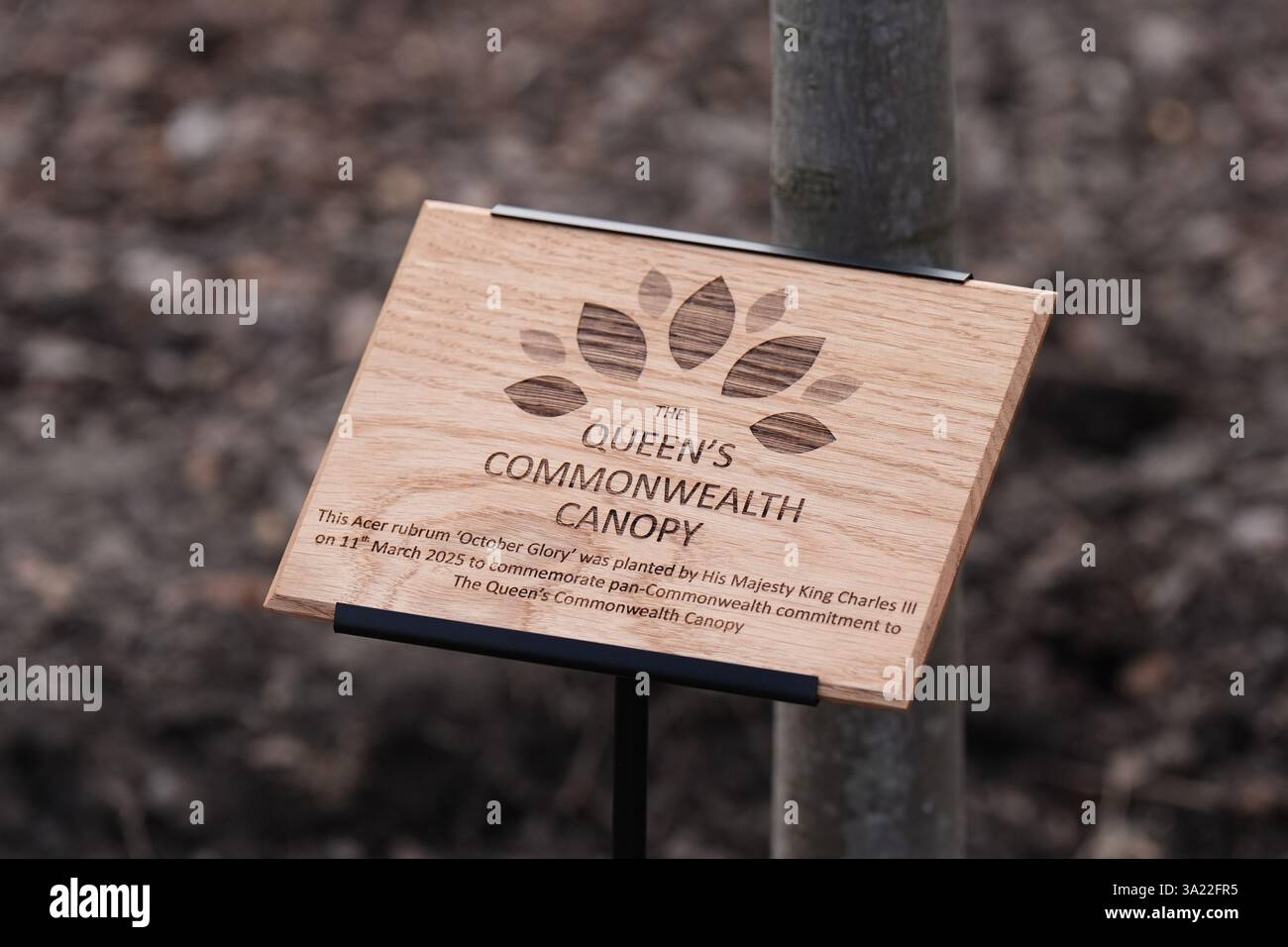 The plaque on show after King Charles III with members of the Royal Commonwealth Society planted ...