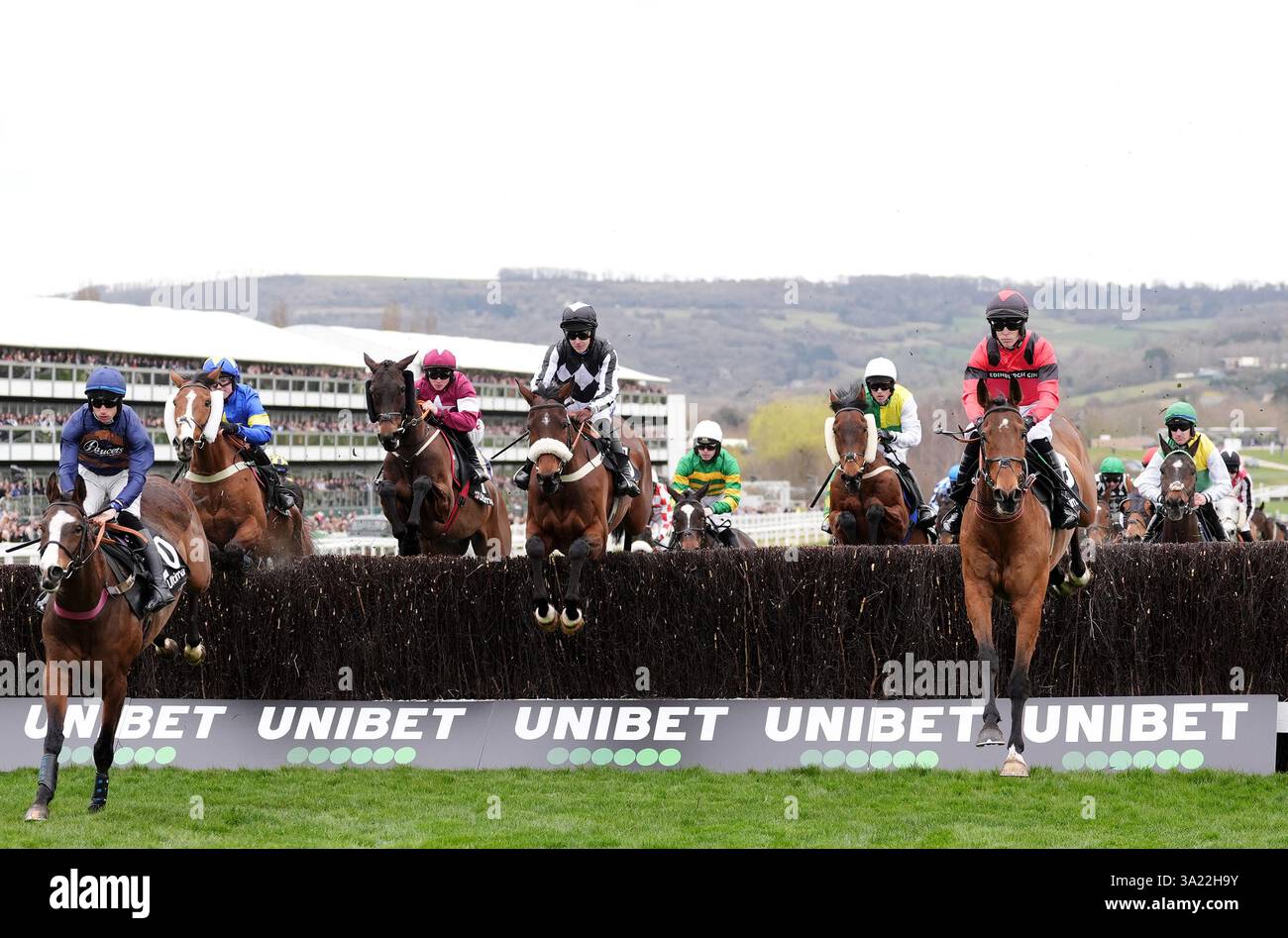 Myretown horse hi-res stock photography and images - Alamy