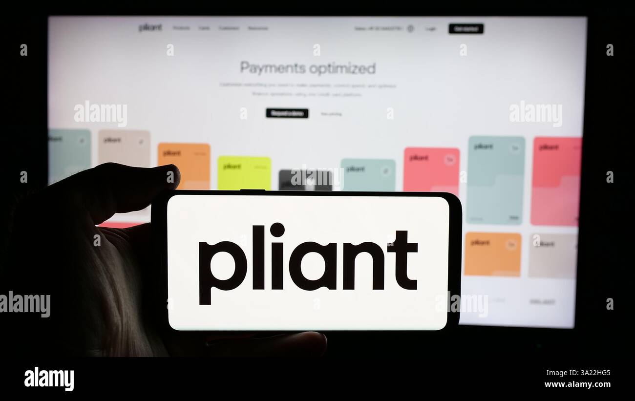 Germany. 14th Jan, 2025. In this photo illustration, a person is ...