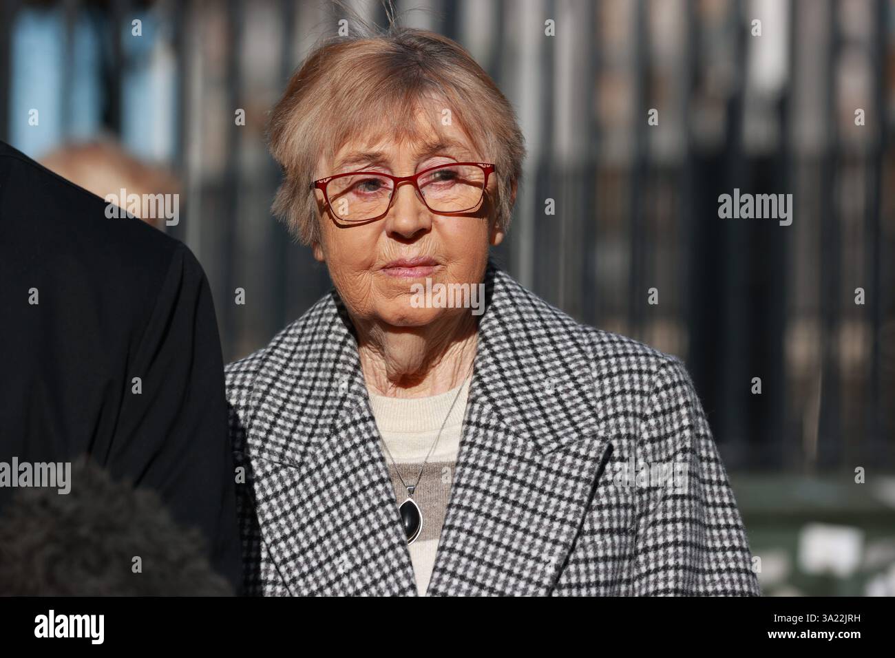 Irene Stevenson, the foster mother of 25-year-old Denis Shearer, who ...