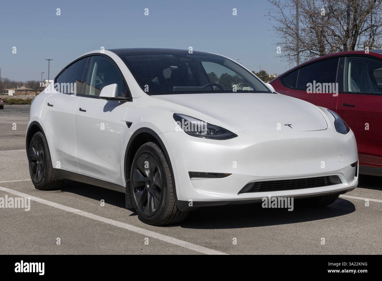 Indianapolis - March 9, 2025: Tesla Model Y display at a dealership ...