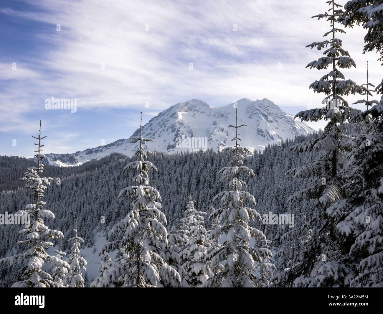 WA26422-00......WASHINGTON -Mount Rainier from Trooper Ridge of the ...