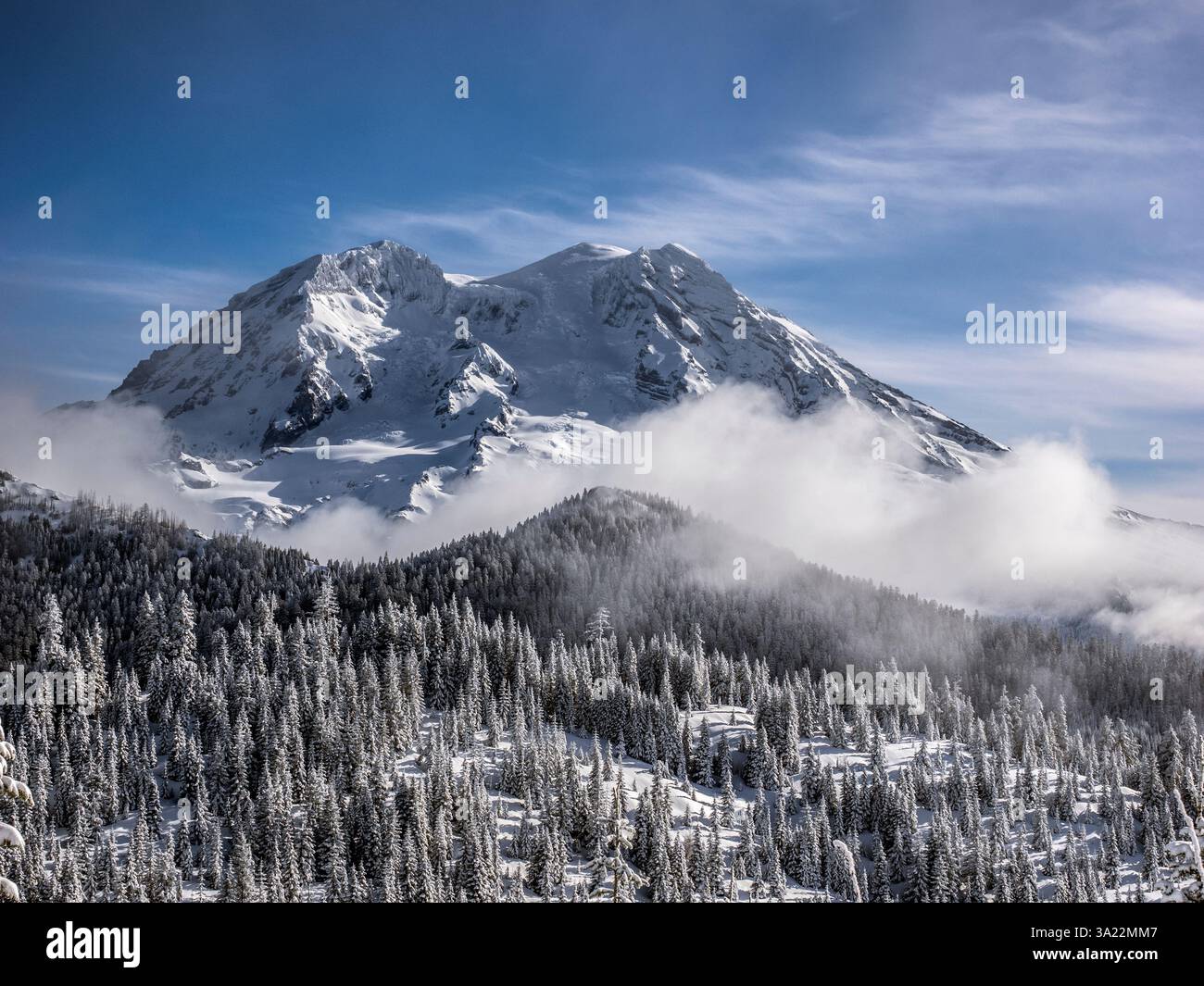 WA26427-00......WASHINGTON -Mount Rainier from Trooper Ridge of the ...