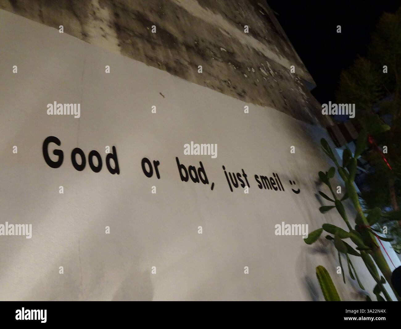 Good or bad, just smeil. Streetart, Chumphon, Thailand, 2025, Manfred ...