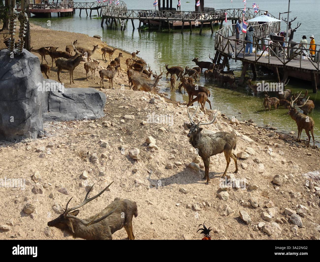 Suspension Bridge, Reservat, Wildtiere, Rehe, Hirsche, Chumphon ...