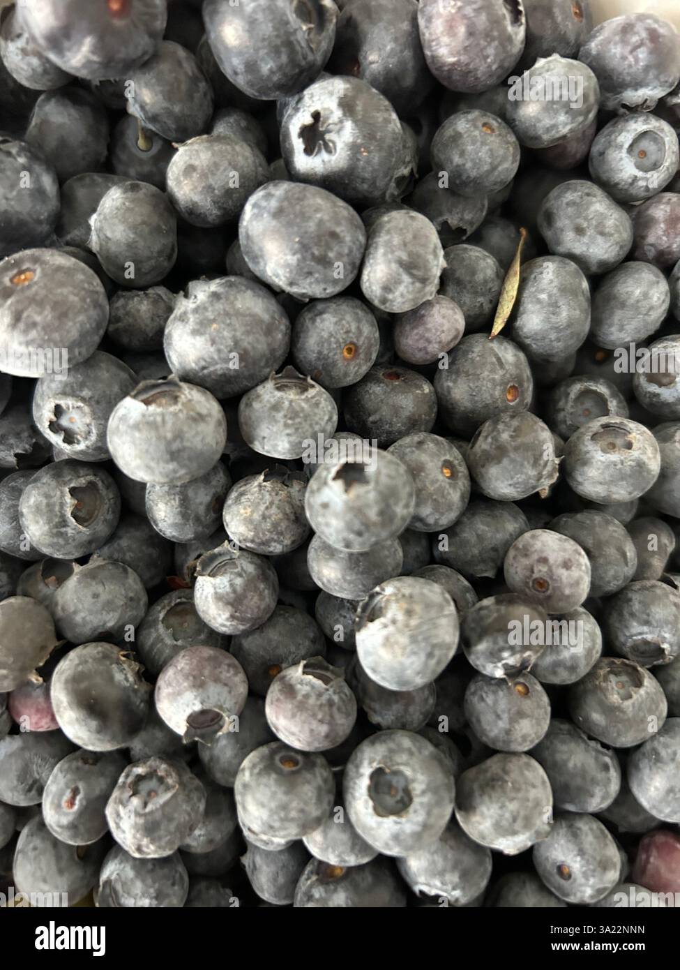 Purple blueberries hi-res stock photography and images - Alamy
