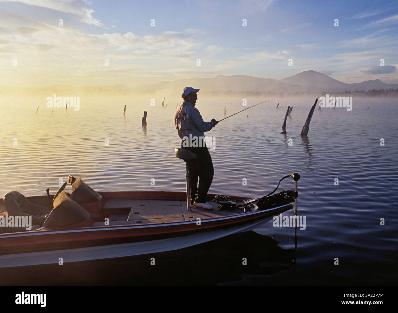 Largemouth bass hi-res stock photography and images - Alamy