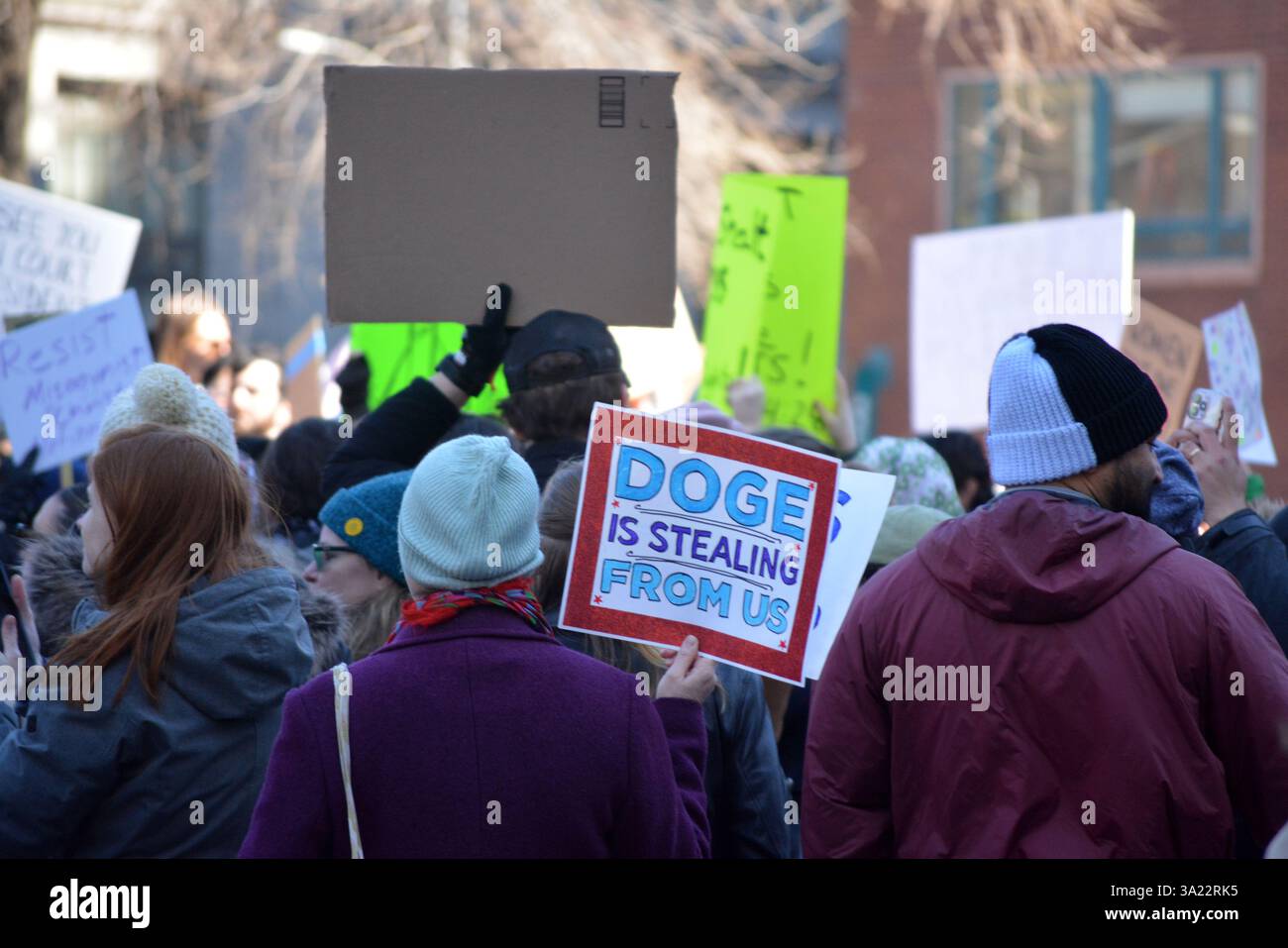 Anti-DOGE sign at an International Women's Day march in New York City ...