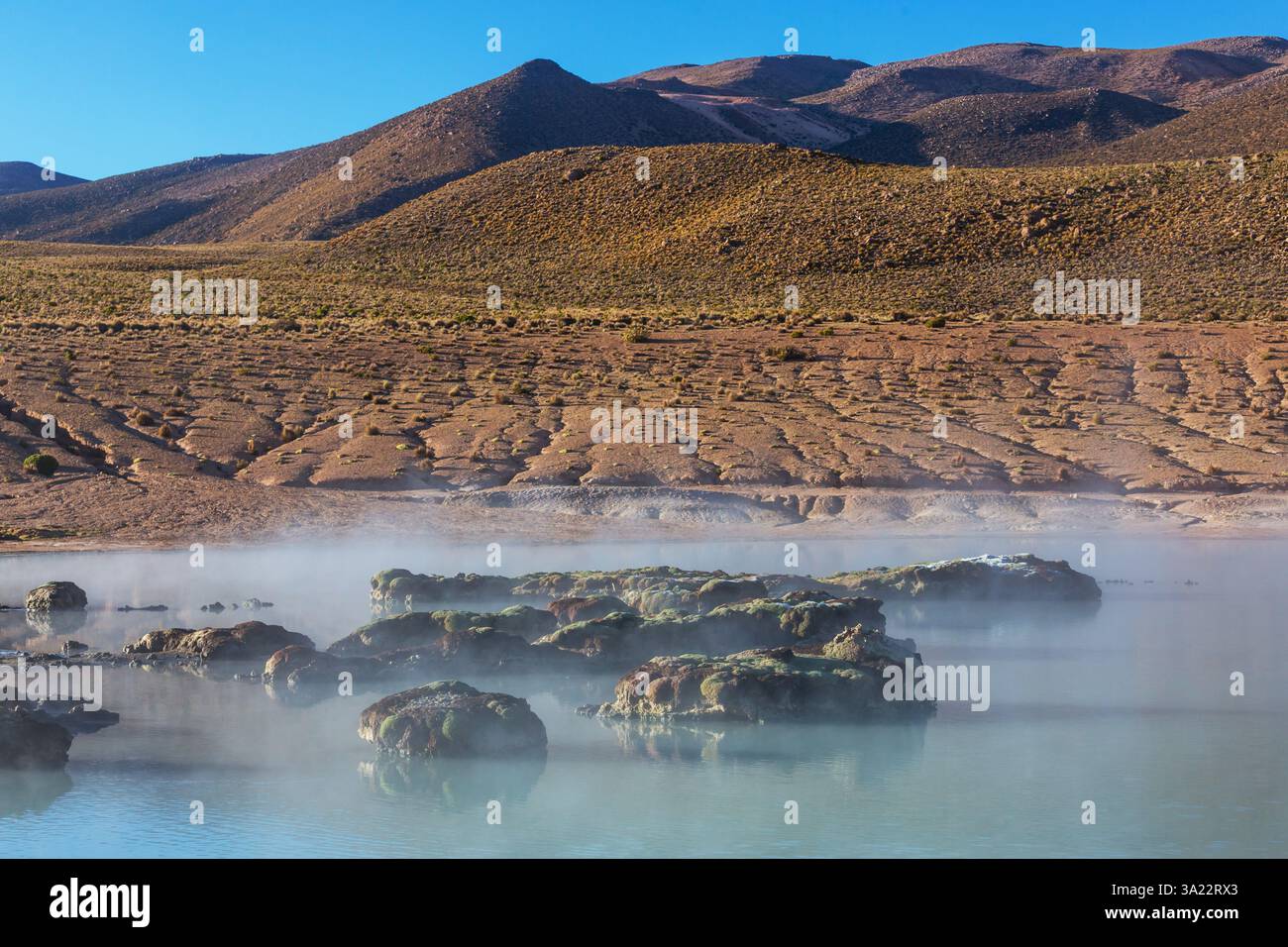 Natural Hot Spring in Atacama desert, Chile, South America Stock Photo ...