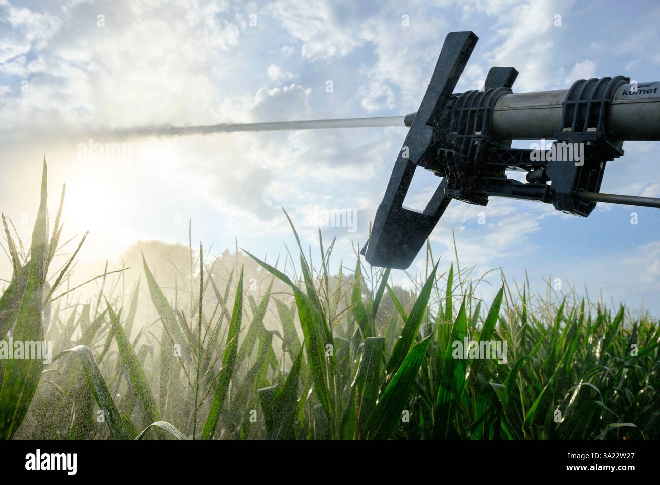 Sprinkler gun in a cornfield in the Isère department (south-eastern ...