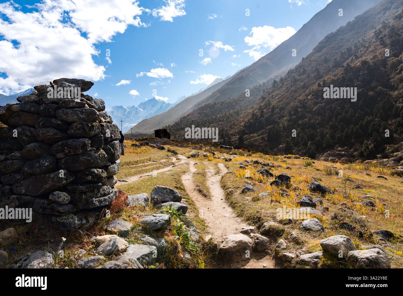 Sunny Trekking Hiking Route of Nepal's Langtang Region in the HImalayas ...